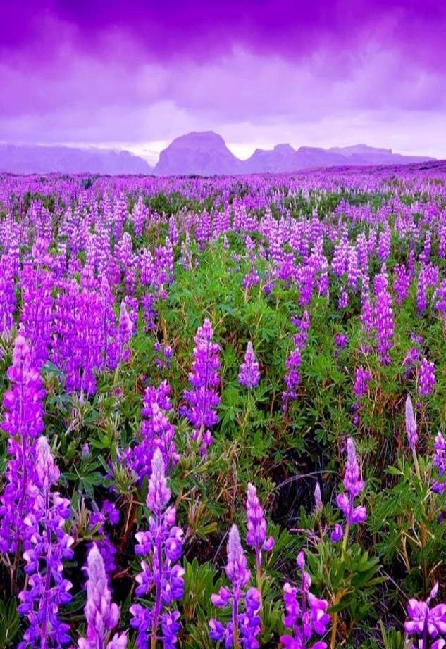 Living As a Victorious Overcomer! [Podcast] – Steps 2 Success with ...