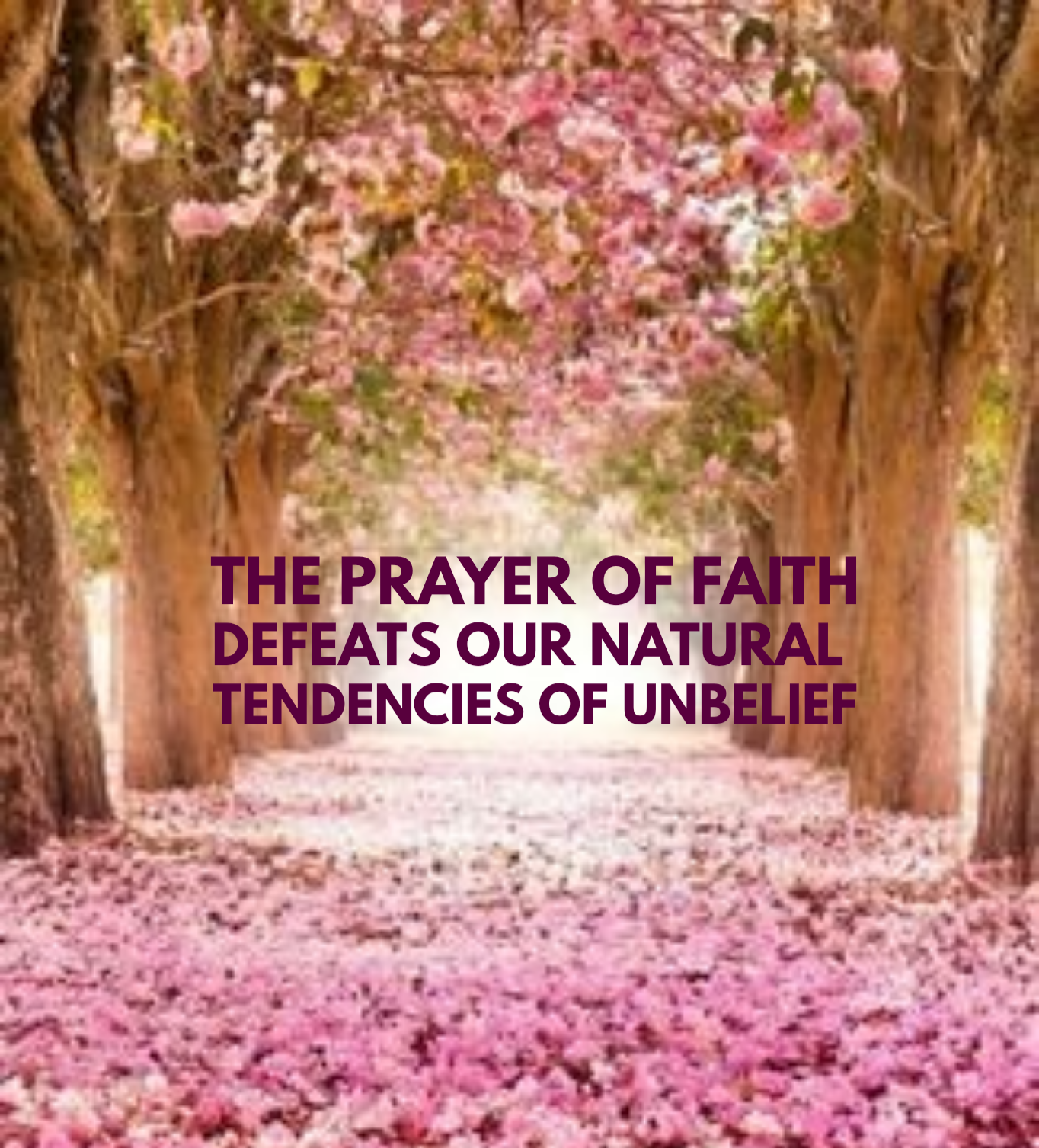 Steadfast Faith Triumphs In Trouble – Steps 2 Success with Spiritual ...