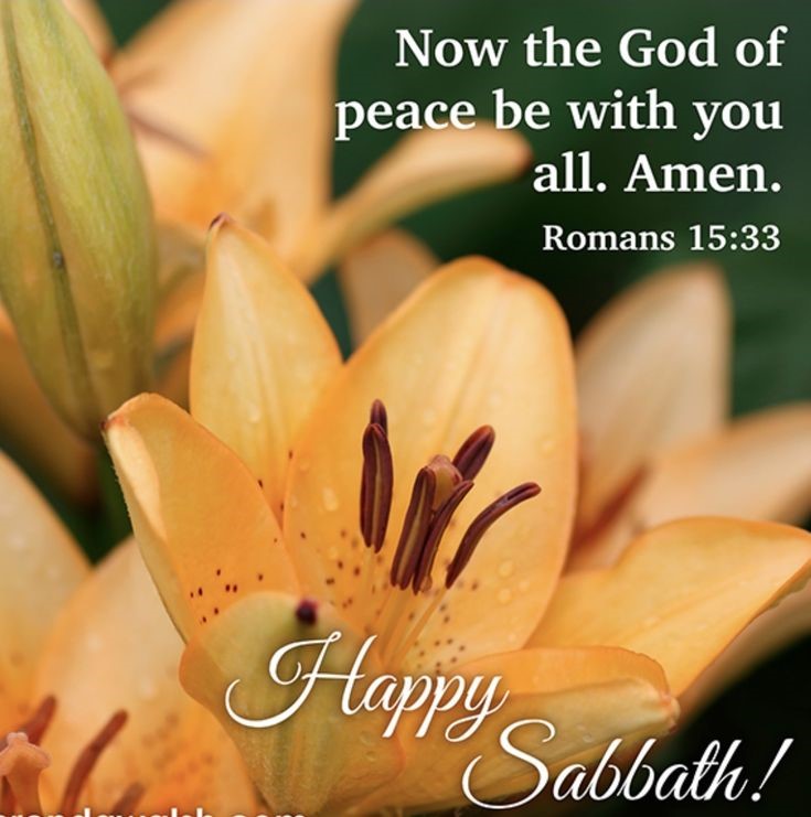 Sabbath Blessings—Pray for Peace – Steps 2 Success with Spiritual Solutions