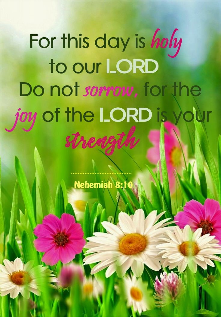 The Victorious Life – Happy Sabbath – Steps 2 Success with Spiritual ...