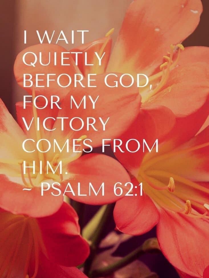 Victory Is Through the Righteousness of Christ – Steps 2 Success with ...