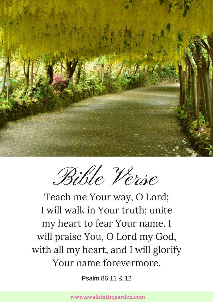 “Does your heart really belong to God?” – Steps 2 Success with ...