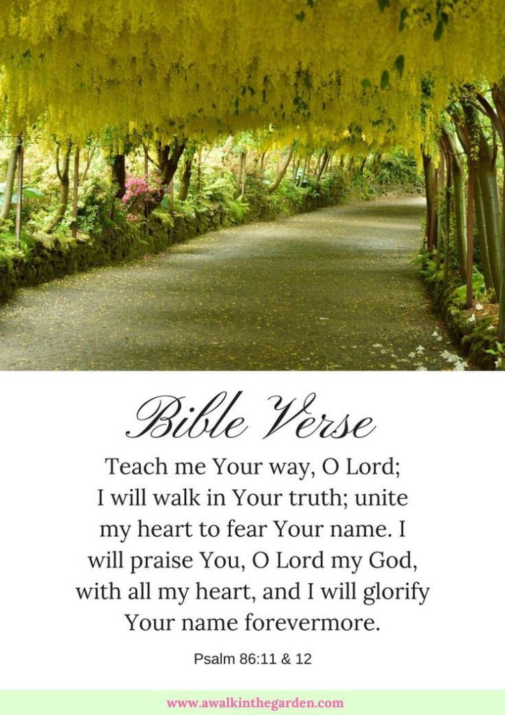 Ask Jesus to Restart Your Life – Receiving the Gift of Spiritual ...